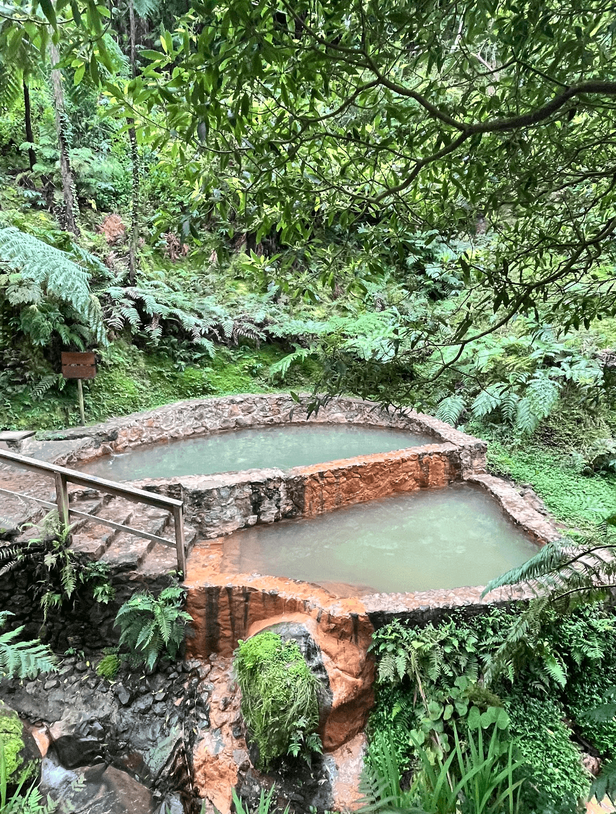 Hot Springs in São Miguel: Prices, Schedules, and a Salty Surprise
