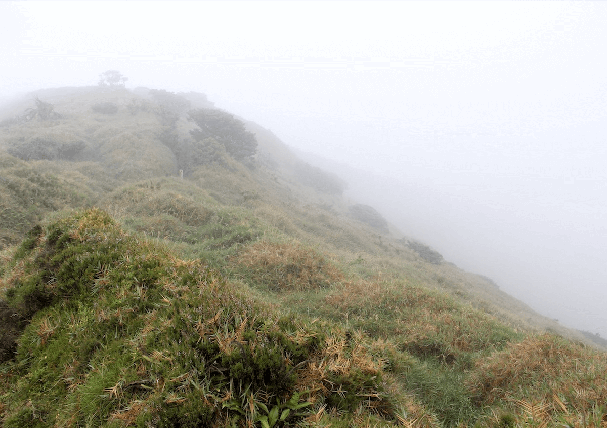 The WORST hiking trails in São Miguel island | To Azores Islands
