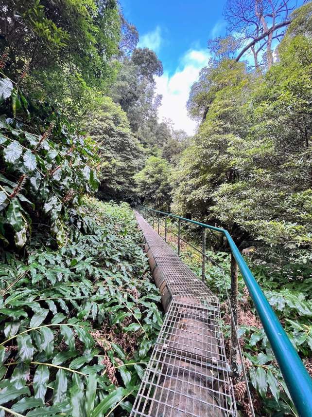 The WORST hiking trails in São Miguel island | To Azores Islands