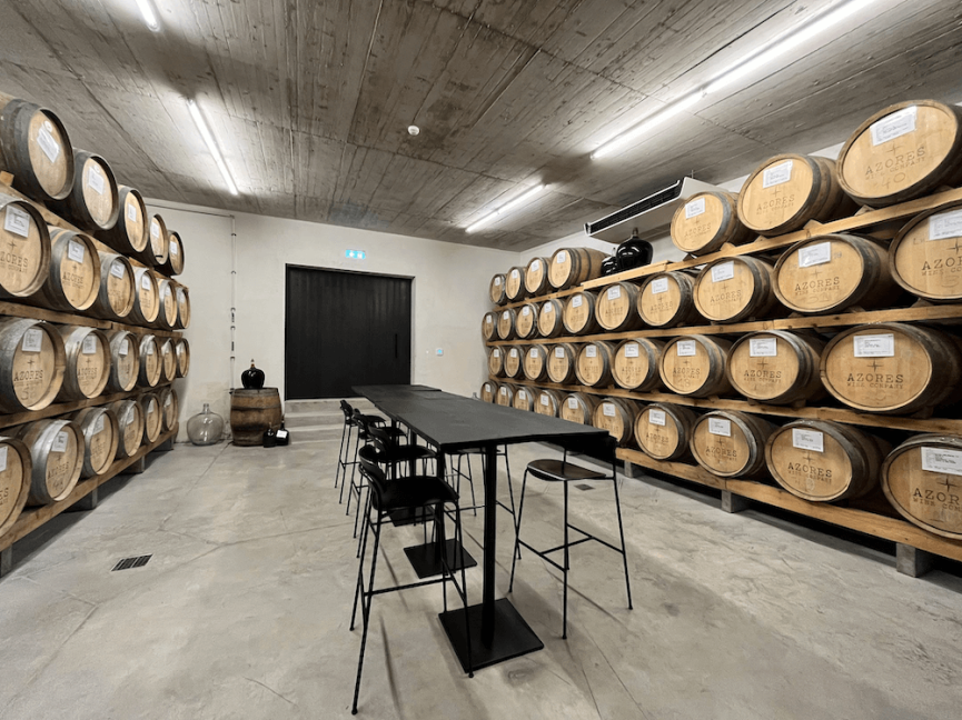Wine tasting in Pico island in the Azores | To Azores Islands