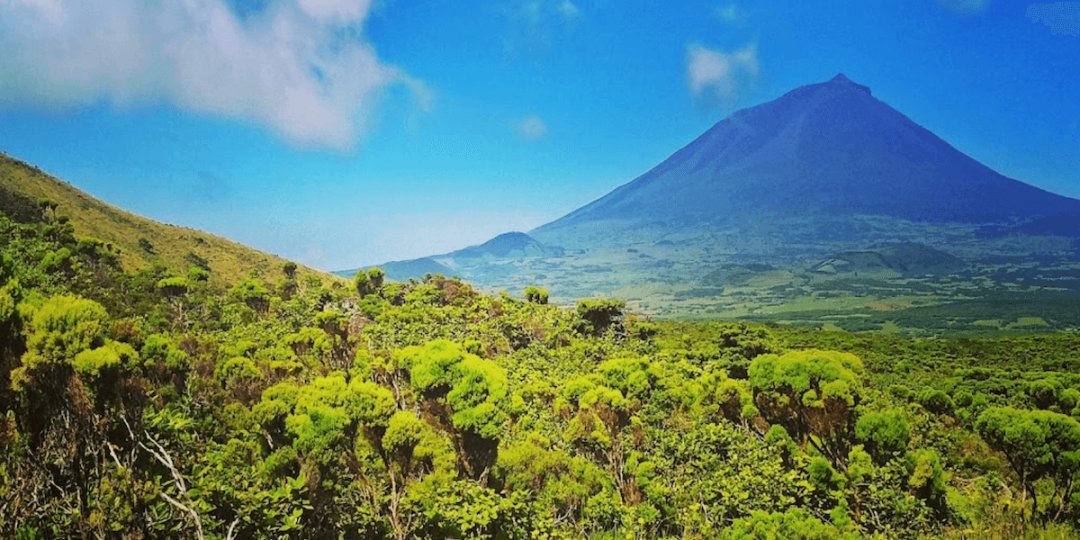 Best things to do in Pico island | To Azores Islands