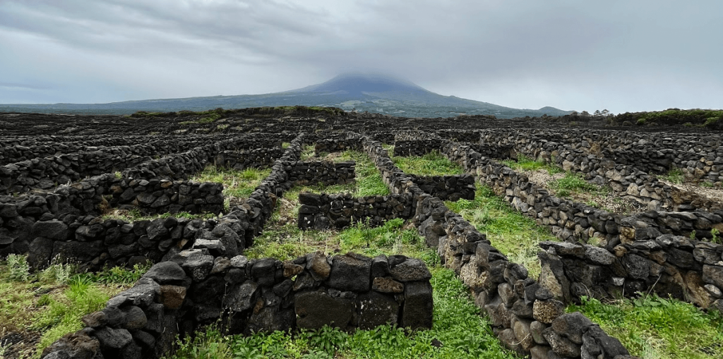 Pico Archives - To Azores Islands
