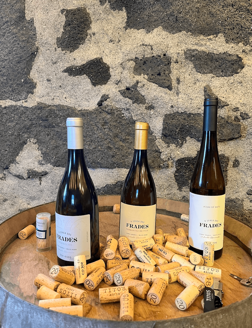 Wine tasting in Pico island in the Azores | To Azores Islands