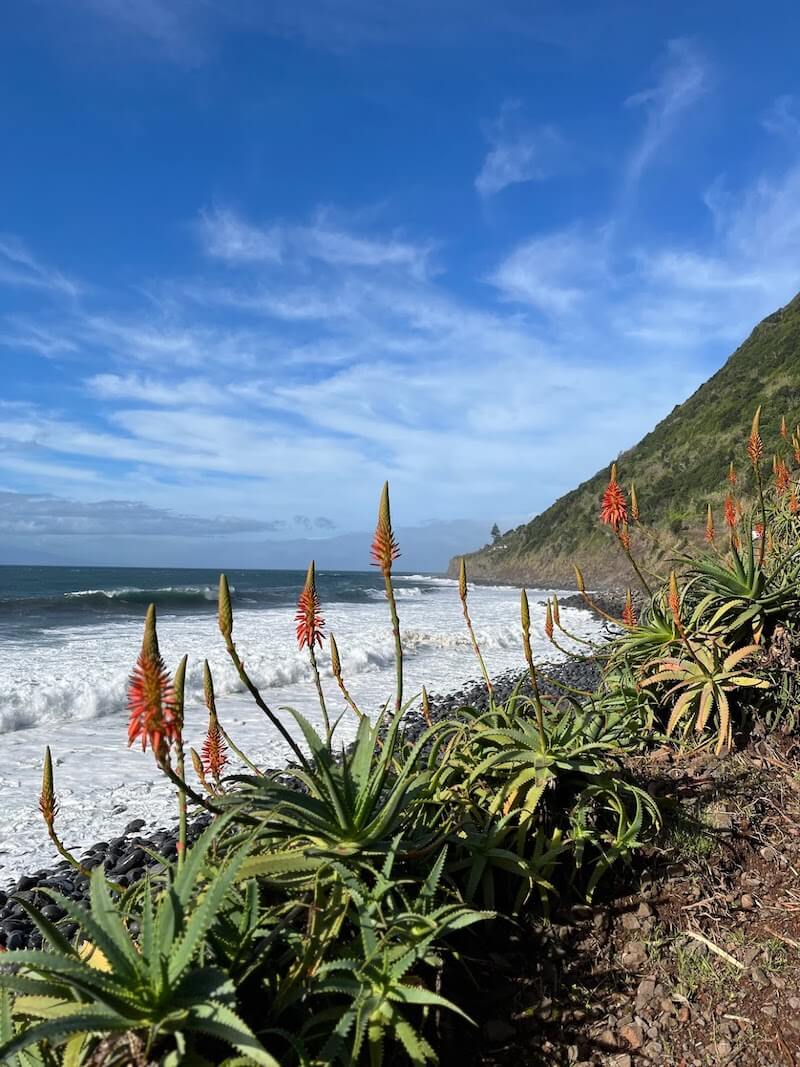 The best hikes in São Jorge island | To Azores Islands