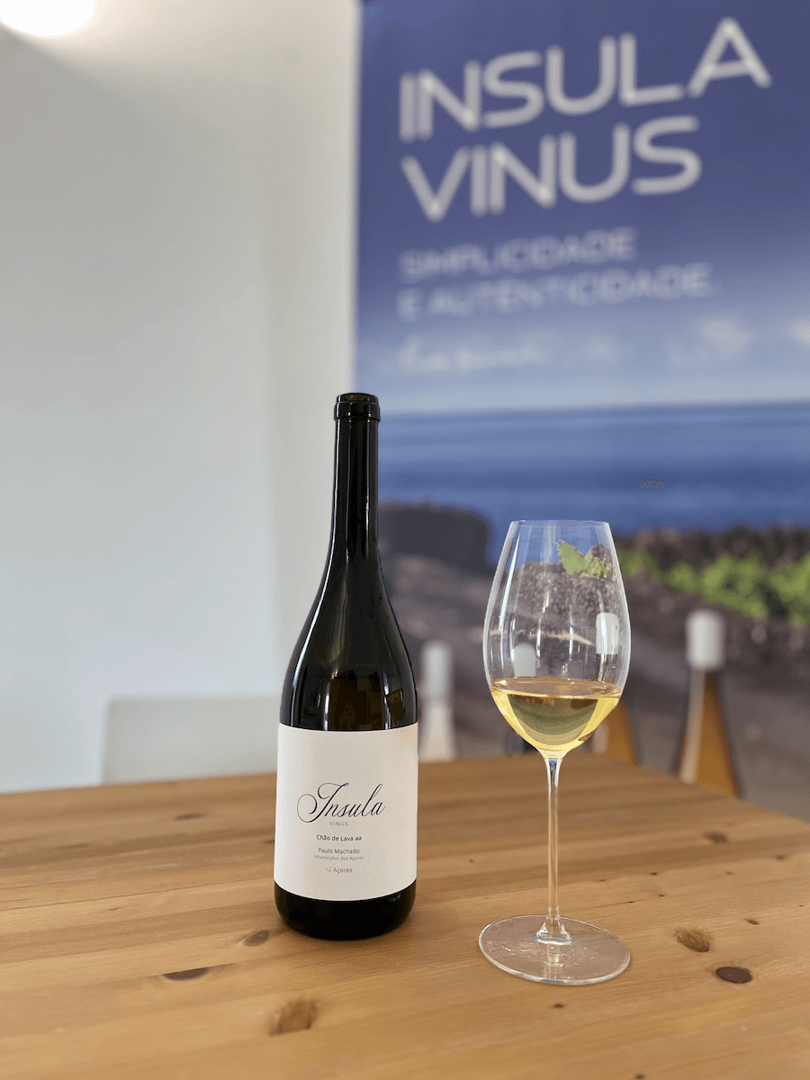 Wine tasting in Pico island in the Azores | To Azores Islands