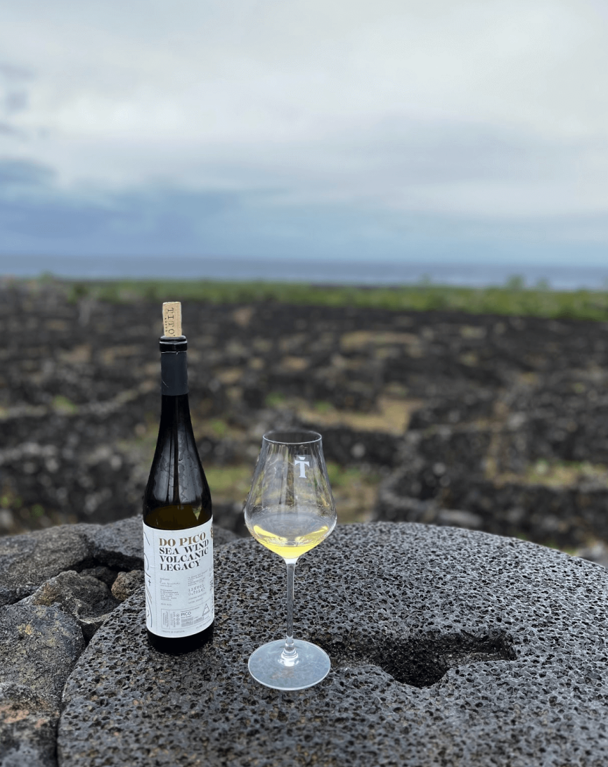 Wine tasting in Pico island in the Azores | To Azores Islands