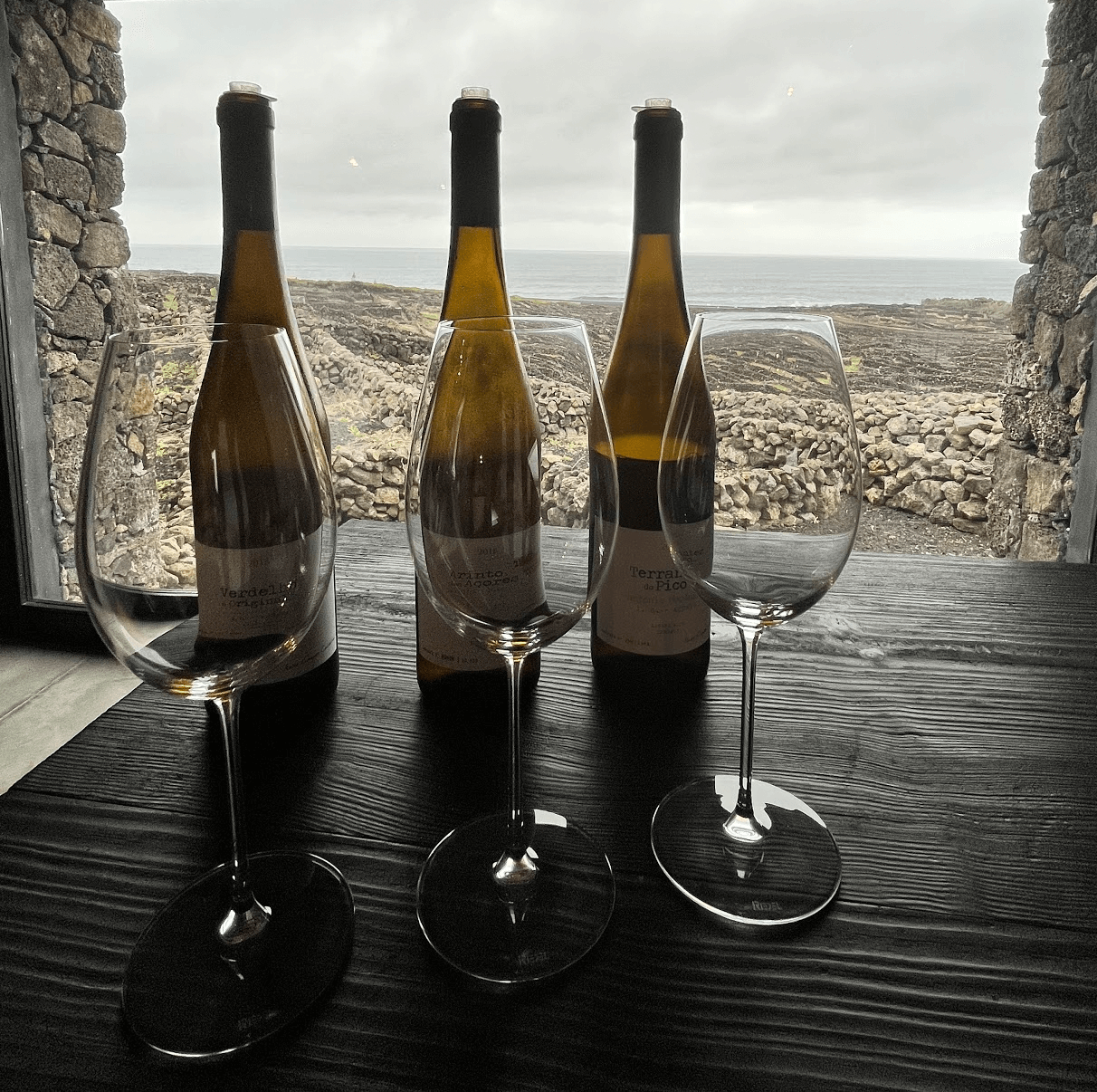 Wine tasting in Pico island in the Azores | To Azores Islands