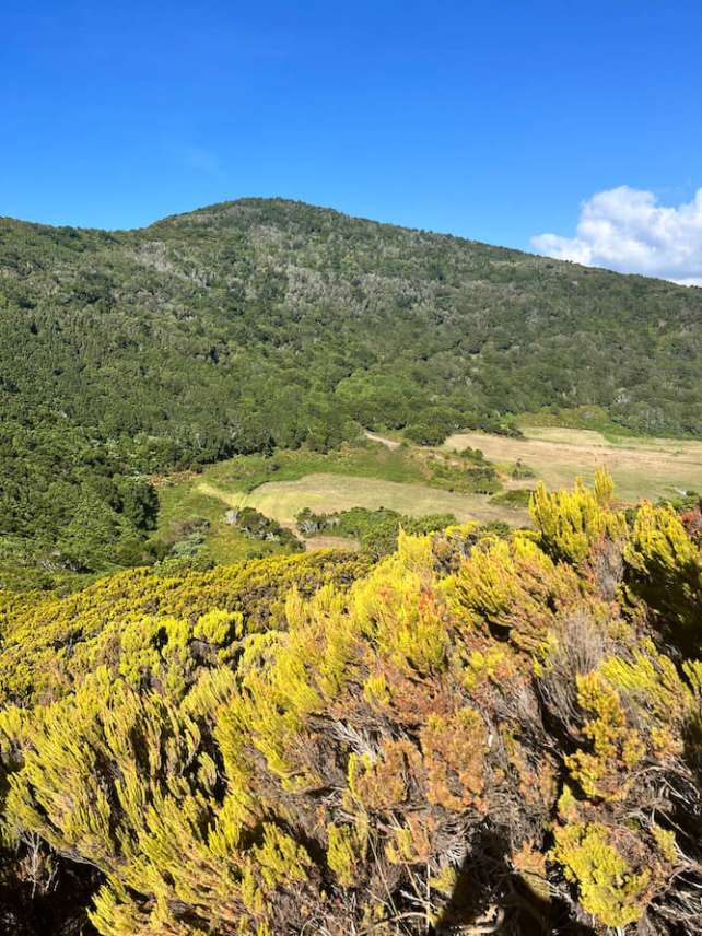 Monte Brasil: a complete guide | To Azores Islands