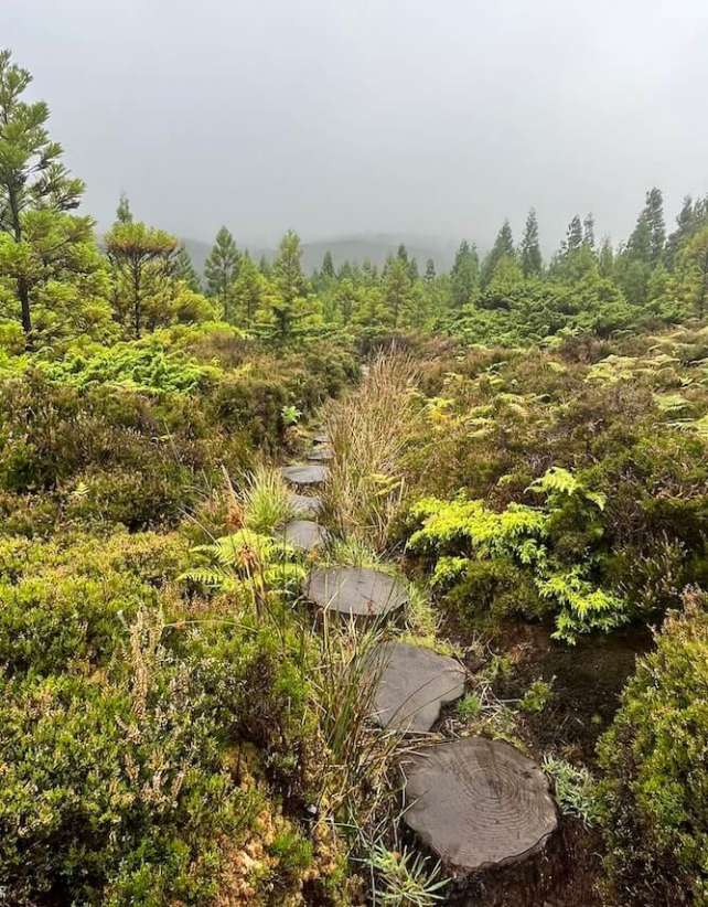 Best trails in the Azores | To Azores Islands
